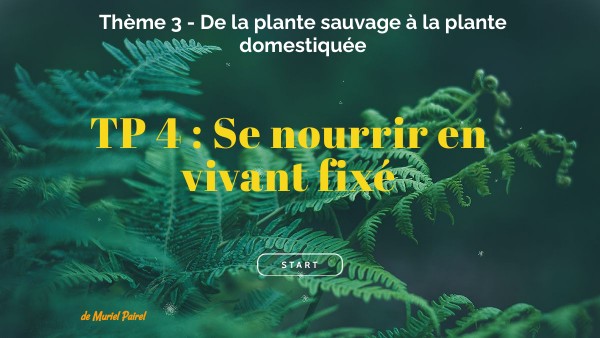 TP4 Se nourrir en vivant fixé - mpairel