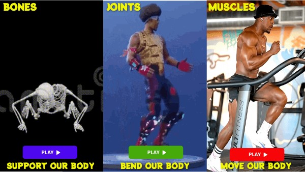 Bones - Joins - Muscles