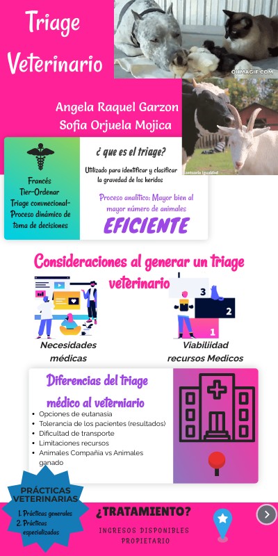 TRIAGE VETERINARIO | Genially