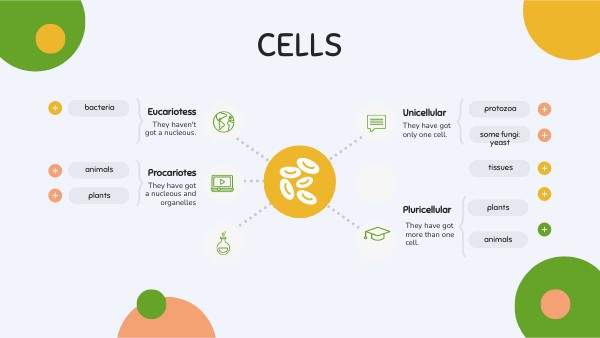 CELLS mind map