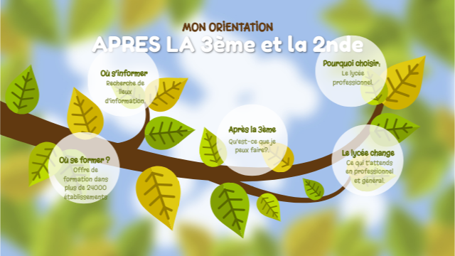 Orientation post-2nde