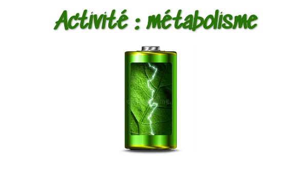 activité métabolisme seconde | Genially