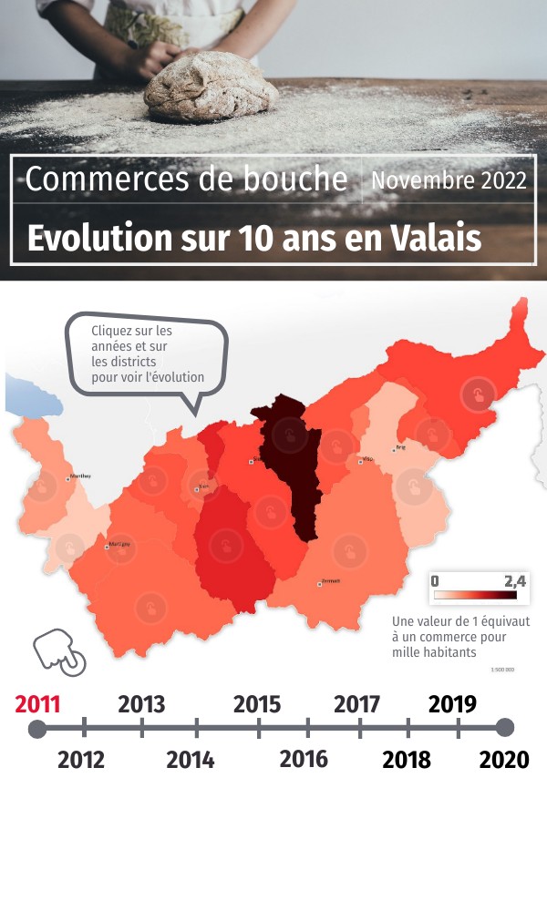 Copie - BASIC PRESENTATION