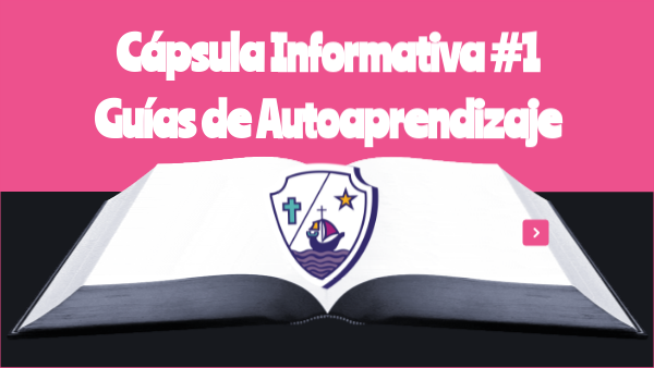 Cápsula Informativa 1