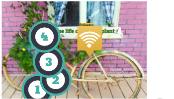 The life cycle of a plant | Genially