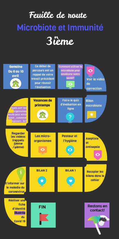 microbiote et immunité | Genially