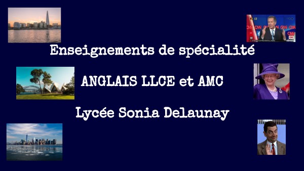 ENSEIGNEMENTS DE SPECIALITÉ LLCE et AMC