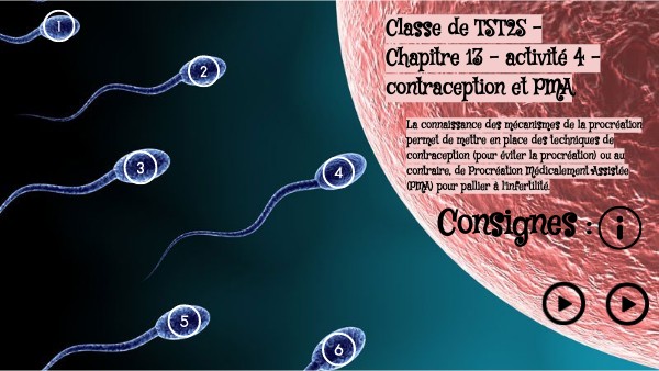 TST2S - contraception / PMA | Genially