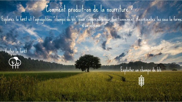 2nde écosystème Agrosystème