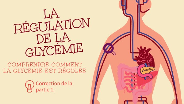 TST2S - régulation de la glycémie