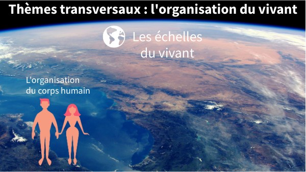 2nde - organisation du vivant | Genially