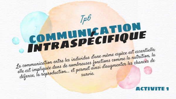 TP6 Communication intraspécifique | Genially