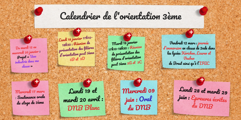 calendrier de l'orientation 3ème | Genially