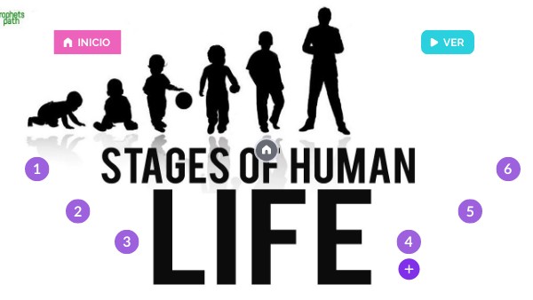 4º STAGES OF HUMAN LIFE | Genially