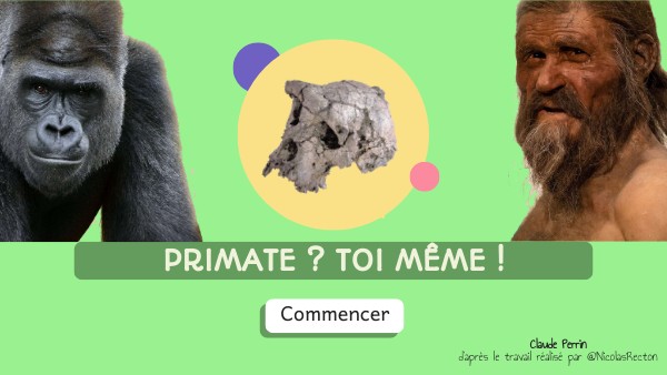 5. Primate ? Toi même