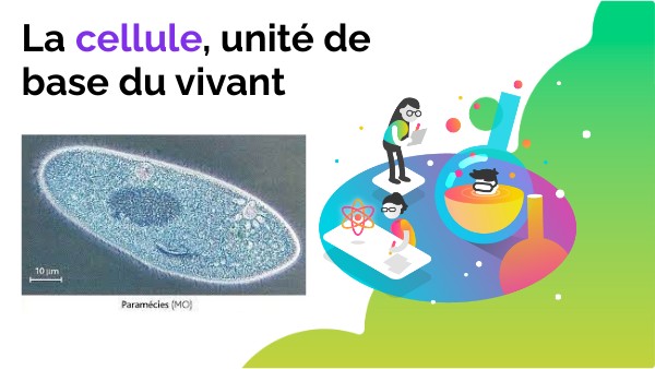 Chap 1 : La cellule, unité des êtres vivants