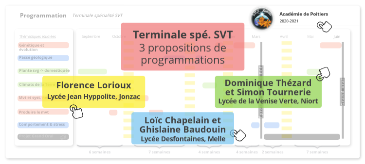 3 programmations Term Spé