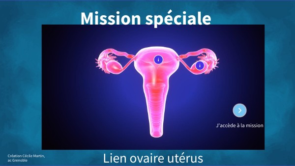 Lien ovaire utérus | Genially