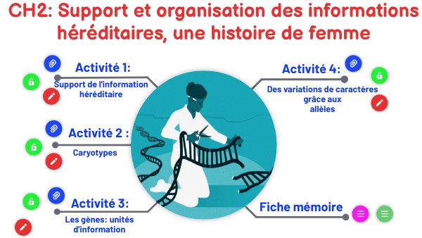 2022 2023_SVT3_CH2_Support et orga IG | Genially