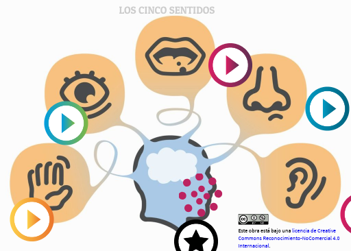 LOS 5 SENTIDOS | Genially