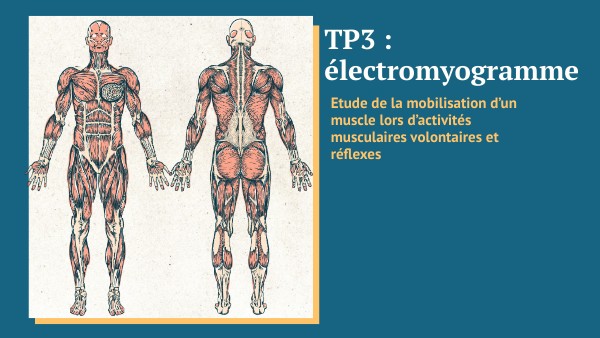 ANATOMY OF THE HUMAN BODY