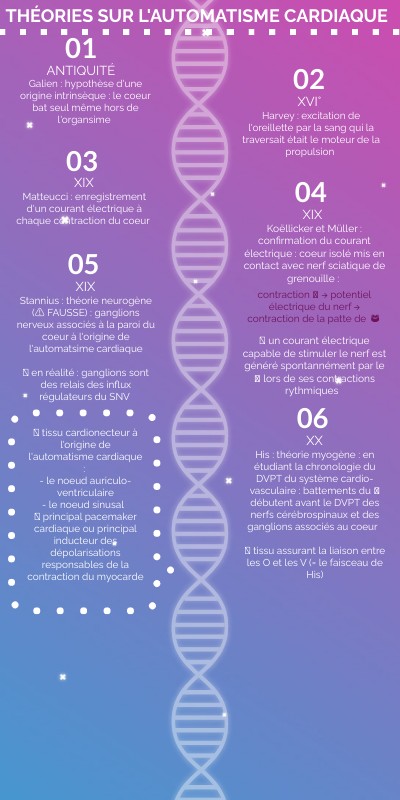 BIOLOGY VIBRANT TIMELINE | Genially