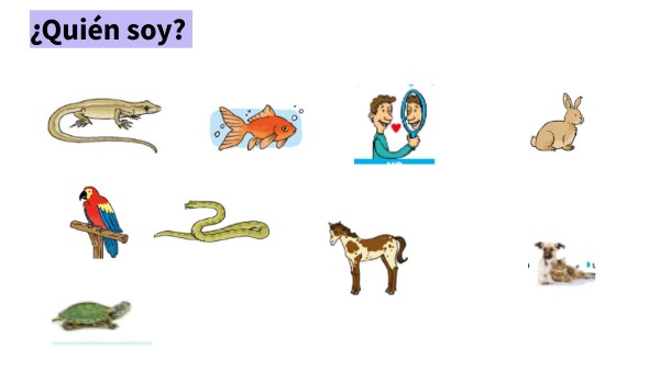 ¿quién soy...? | Genially