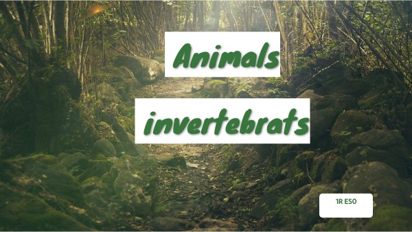 Animals invertebrats