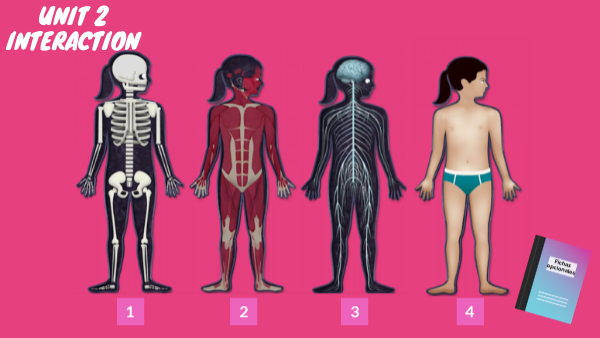 Unit 2 Interactions | Genially