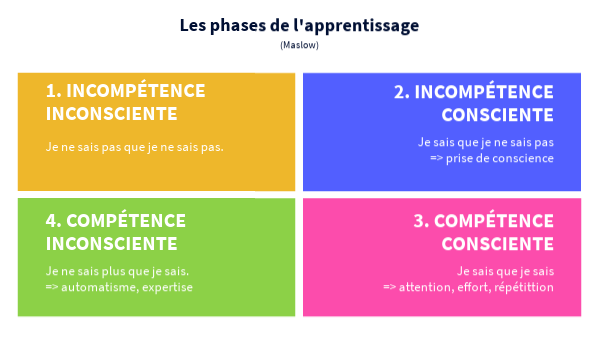 Les phases de l'apprentissage | Genially