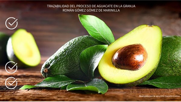 Trazabilidad del proceso de aguacate