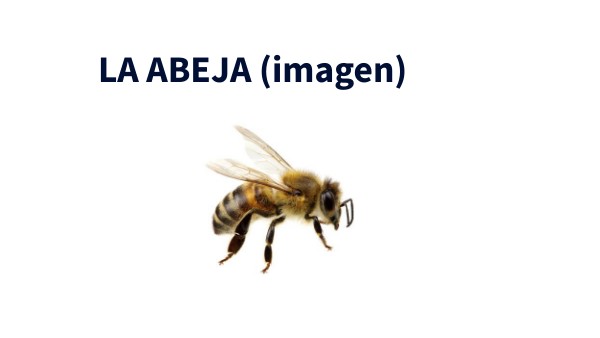Abejas