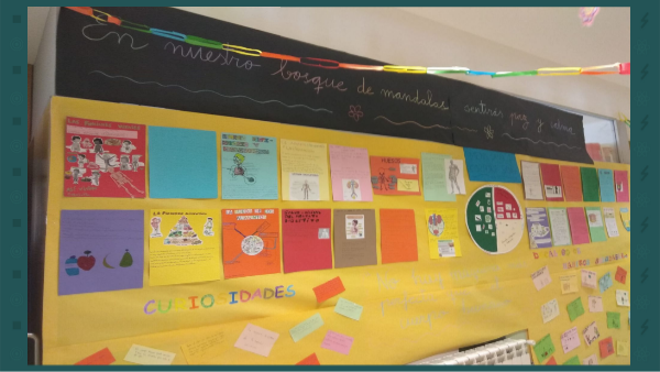 EXPOSICIÓN CUARTO B | Genially