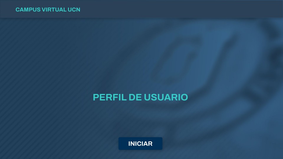 PERFIL DE USUARIO POSTGRADO | Genially
