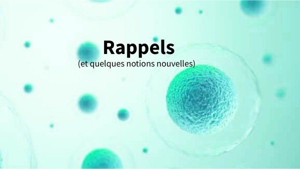 Rappels 1ère spé | Genially