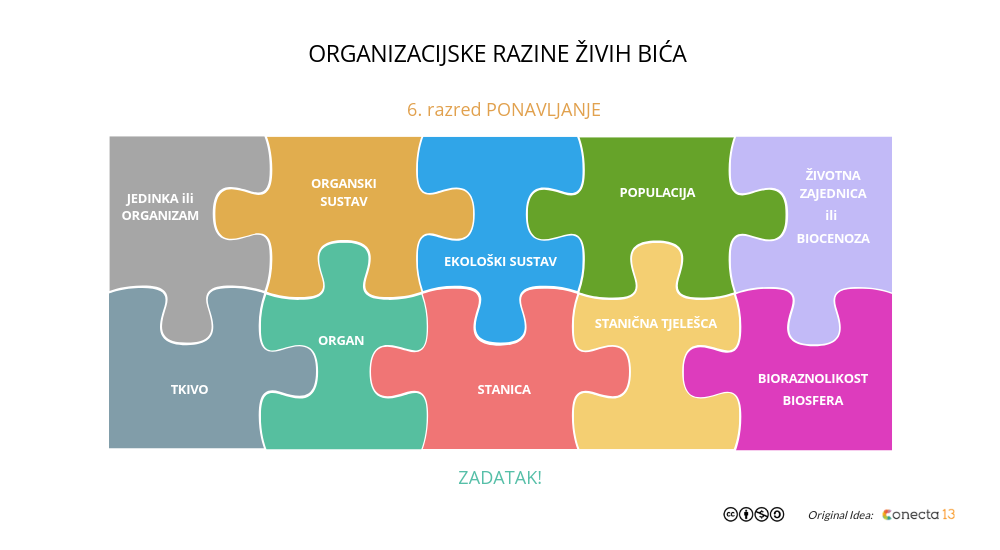 7. Organizacijske razine živih bića