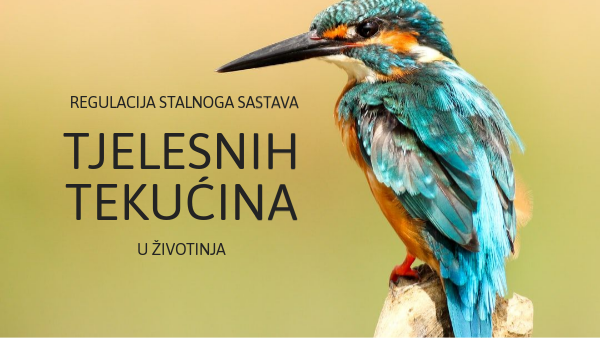 8. Regulacija stalnog sastava tjelesnih tekućina u životina