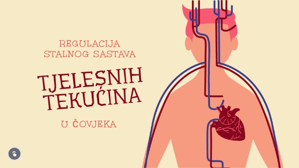 8. Regulacija tjelesnih tekućina -čovjek | Genially