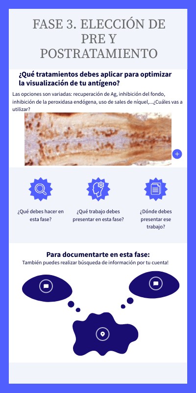 FASE 3. ELECCIÓN DEL PRE Y POSTRATAMIENTO | Genially