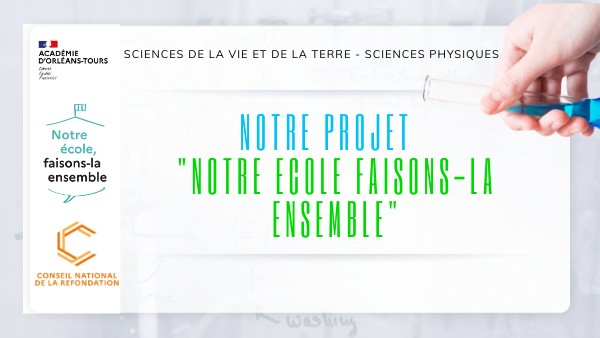 Projet NEFE | Genially