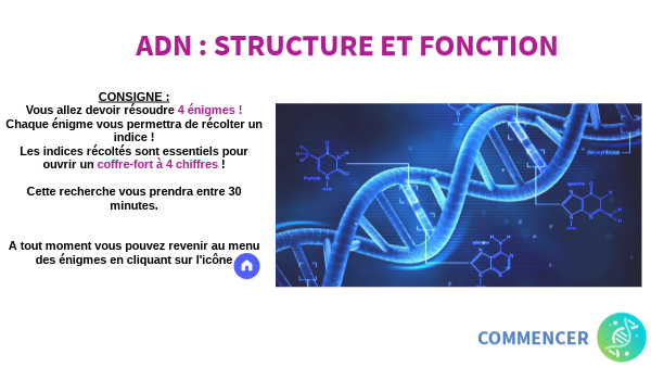 ADN : STRUCTURE ET FONCTION BOSSAY