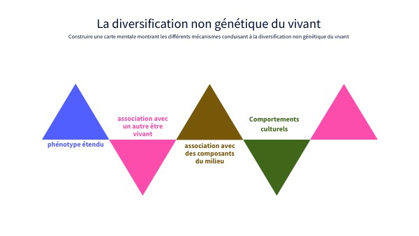 Triangle Diagram IV | Genially