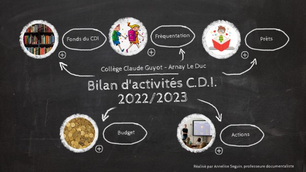 Bilan d'activités CDI 2022 2023