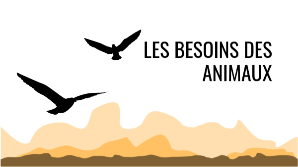 6EME besoins des animaux | Genially