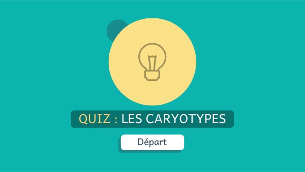 Quiz - Les caryotypes