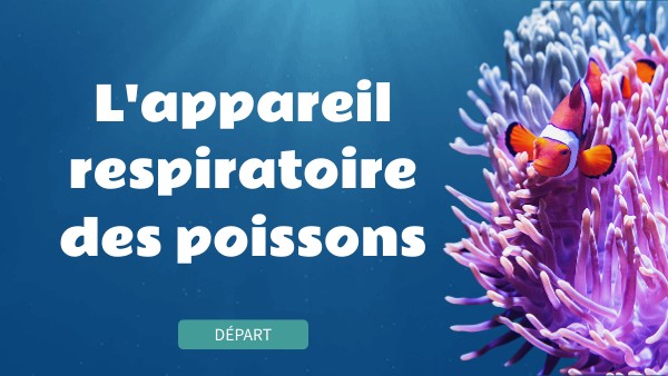 La respiration des poissons | Genially