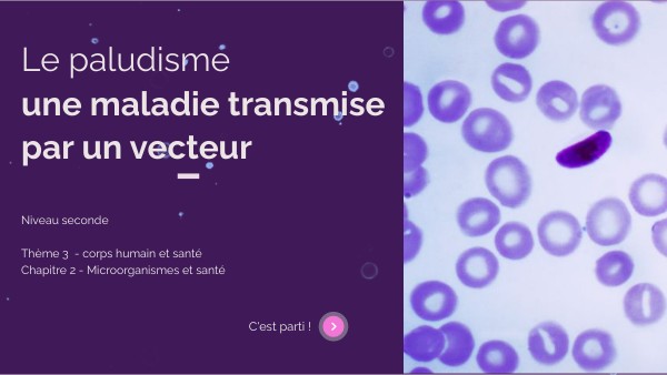 Activité 2: Le paludisme, une maladie vectorielle | Genially
