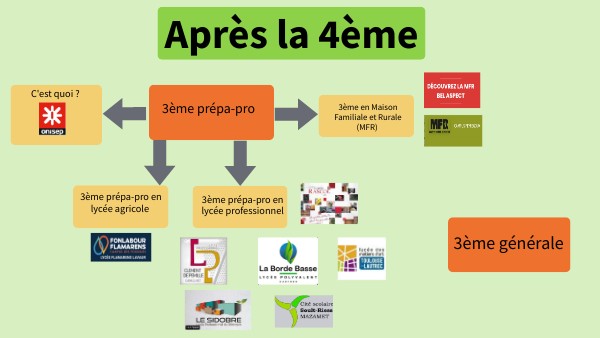 Orientation après la 4ème | Genially