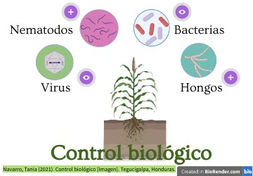 Control biológico | Genially