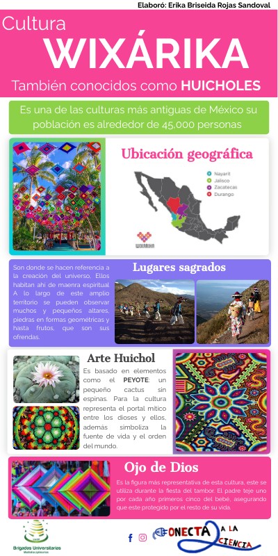 INFO WIXÁRIKA | Genially